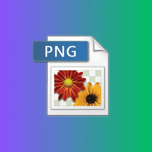 Understanding Image Formats: PNG, JPG, and WebP - PixDuplicate Blog